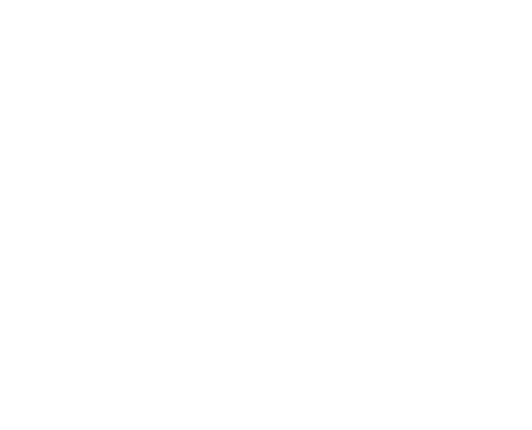 About Us – SpearFin